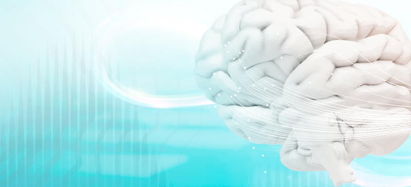 Zumbido Summit 2026 - ISBO